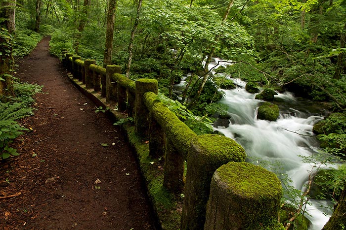 Oirase ลำธารธรรมชาติที่งดงามแห่งญี่ปุ่น | Wonderfulpackage.com