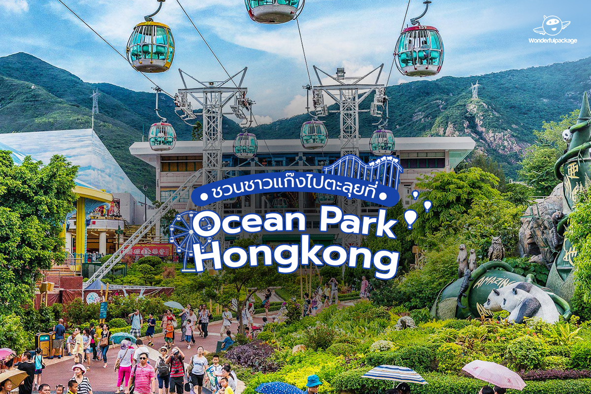 ชวนชาวแก๊งไปตะลุยกันที่ Hong kong Ocean Park