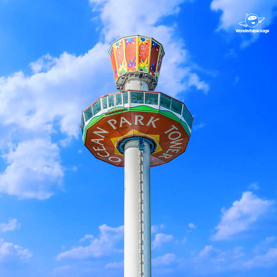 ชวนชาวแก๊งไปตะลุยกันที่ Hong kong Ocean Park