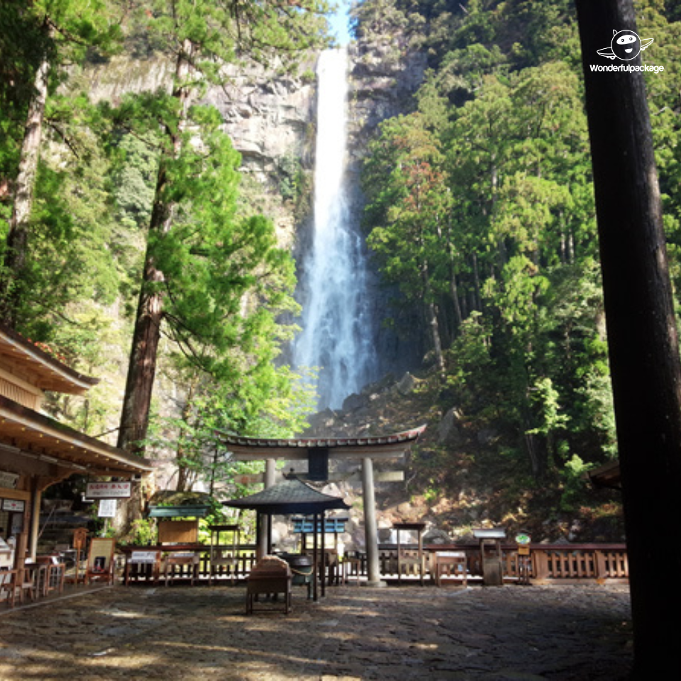 น้ำตกศักดิ์สิทธิ์ของญี่ปุ่น น้ำตกนาชิ (Nachi Fall)