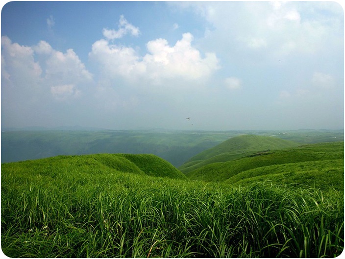 ทัวร์ญี่ปุ่น ฟุกุโอกะ คิวชู คุมาโมโตะ ยูฟูอิน 5 วัน 3 คืน | เที่ยวญี่ปุ่น