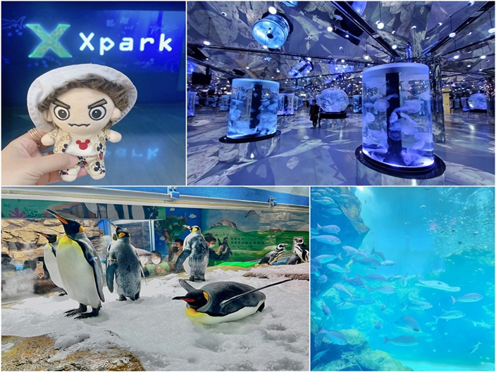 [ Family ]ทัวร์ส่วนตัวไต้หวัน นั่งกระเช้าชมซันมูนเลค สวนสนุกFormosan & Xpark 5วัน4คืน